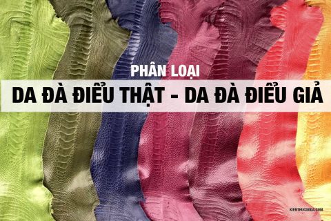 Phân biệt da đà điểu thật – da đà điểu giả - DA ĐÀ ĐIỂU LÊ LAN